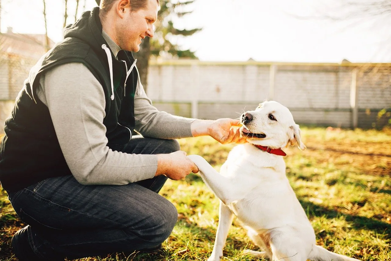 Therapy Dogs: Beating Addiction and Mental Health Problems - Rehab 4 ...